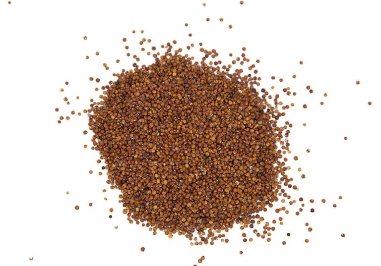 Quinoa rouge - Aymara Food